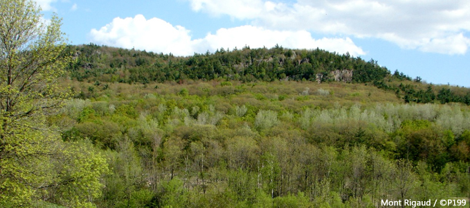 Toujours plus haut en Montérégie!