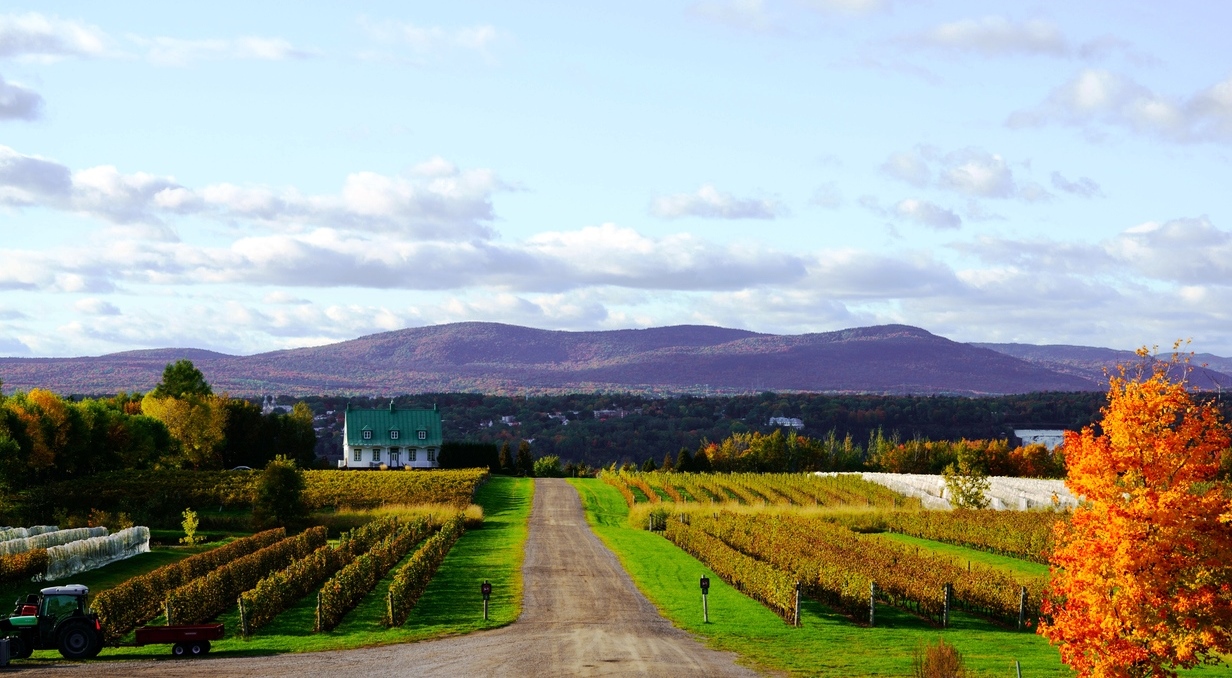 Les appellations de la péninsule du Niagara